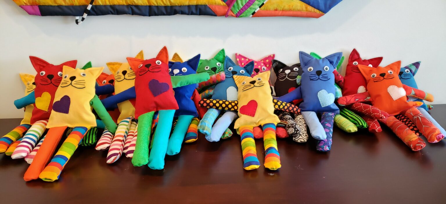 Bernie the Cat Spark Joy and Happiness in the First Graders class